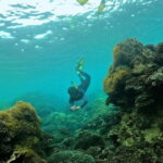 Phu Quoc Small-group Snorkeling to the Coral Jungle Reef - Who Should Consider This Tour?
