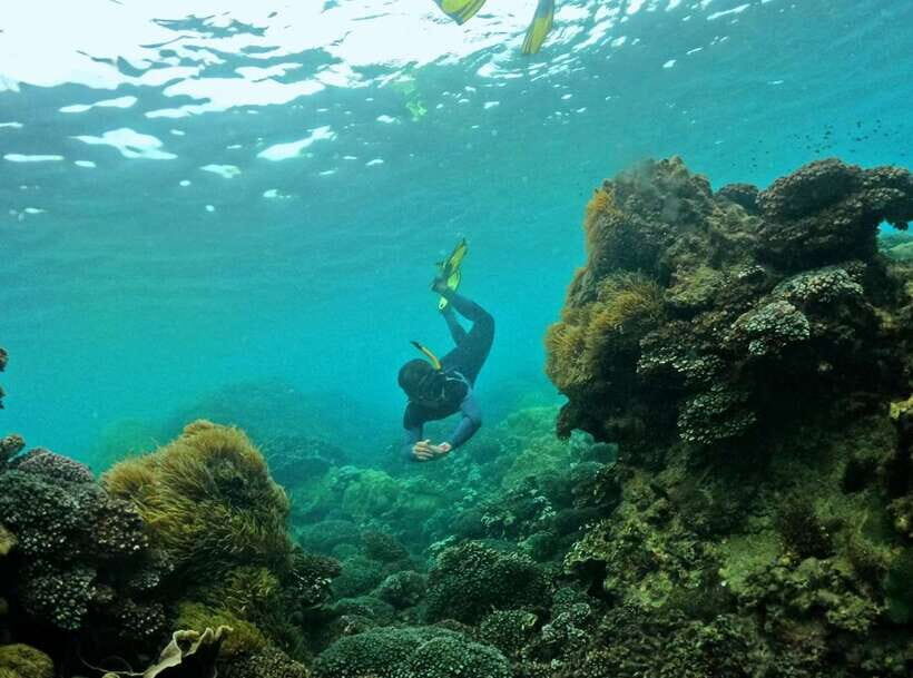 Phu Quoc Small-group Snorkeling to the Coral Jungle Reef - Who Should Consider This Tour?