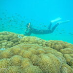 Phu Quoc: Speed Boat Tour 4 Islands - 2 Reefs Snorkeling - First Reef: Shallow Water Introduction