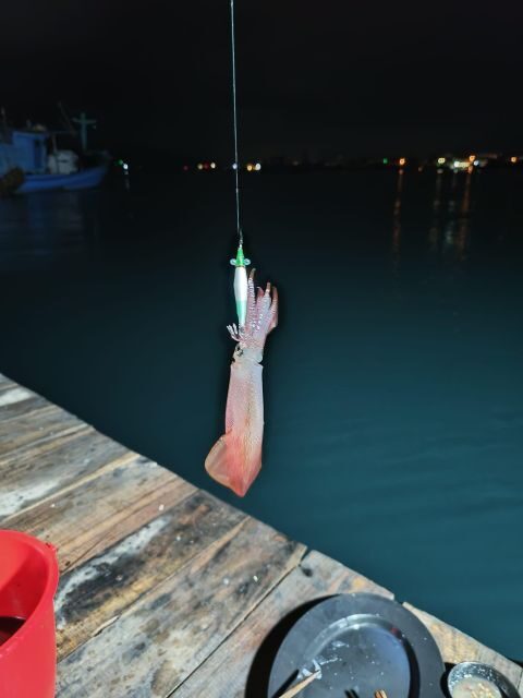 Phu Quoc: Squid Fishing Tour with sunset views & dinner - Transportation, Timing, and Practicalities