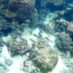 PHU QUOC TRIP 2: 2 ISLANDS BY BOAT - An In-Depth Look at the Experience
