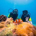 Phuket: 3 Khai Islands Speedboat Tour- Snorkeling & Relaxing - The Pros and Cons