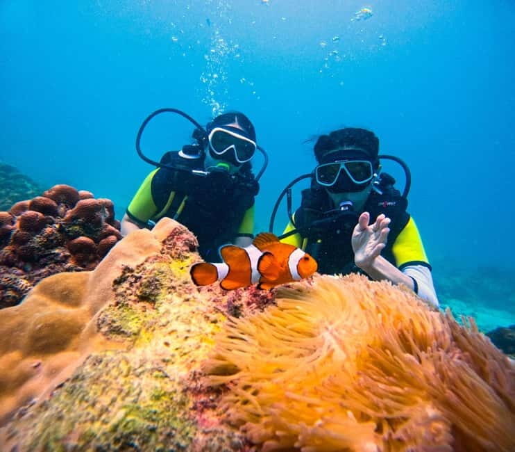 Phuket: 3 Khai Islands Speedboat Tour- Snorkeling & Relaxing - The Pros and Cons