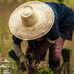 Phuket Countryside and Heritage Tour - Analyzing the Value