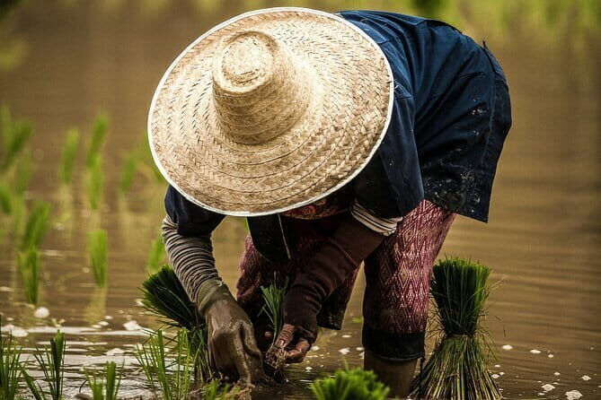 Phuket Countryside and Heritage Tour - Analyzing the Value