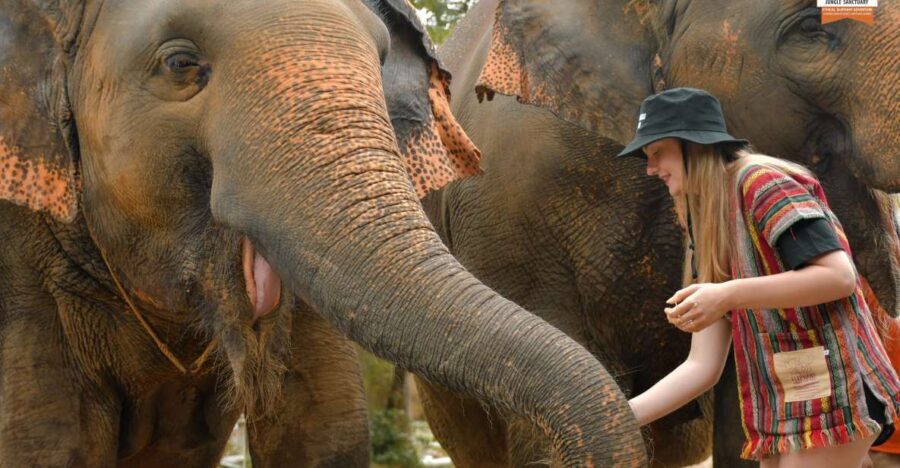Phuket: Elephant Jungle Sanctuary Ethical Feeding Experience - Detailed Breakdown of the Itinerary