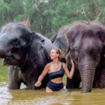 Phuket: Elephant Sanctuary Feed and Bathe Gentle Giants - Why This Tour Is a Value for Your Money