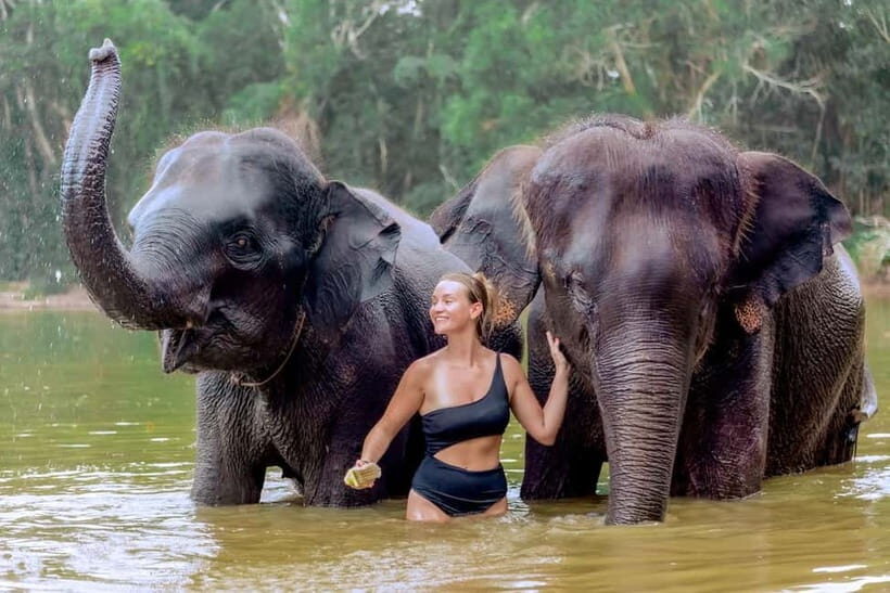 Phuket: Elephant Sanctuary Feed and Bathe Gentle Giants - Why This Tour Is a Value for Your Money