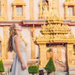 Phuket Introduction City Sightseeing Tour - Who Would Love This Tour?