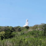 Phuket: Paradise Trip ATV Jungle Adventure - Visiting the Big Buddha and Other Scenic Stops