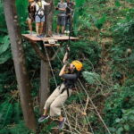 Phuket: Tickets to Zipline & Aerial Adventure Parks - Who Will Love This Experience?