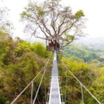 Phuket: Zipline Flying Higher than a Hawk with ATV Option - Why This Tour Works Well for Travelers
