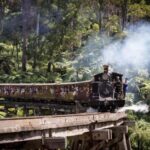 Pick Up from City | Steam Train and Penguin Parade Day Tour - The Practical Aspects: Value, Transportation, and Accessibility