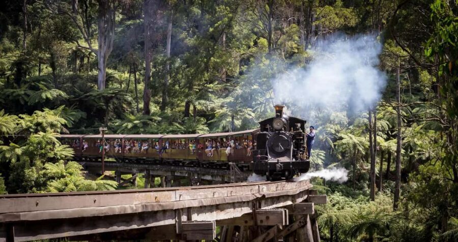 Pick Up from City | Steam Train and Penguin Parade Day Tour - The Practical Aspects: Value, Transportation, and Accessibility