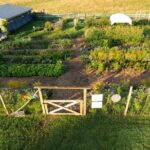 Pick Your Own Flowers on the Farm - Analyzing the Value for Money