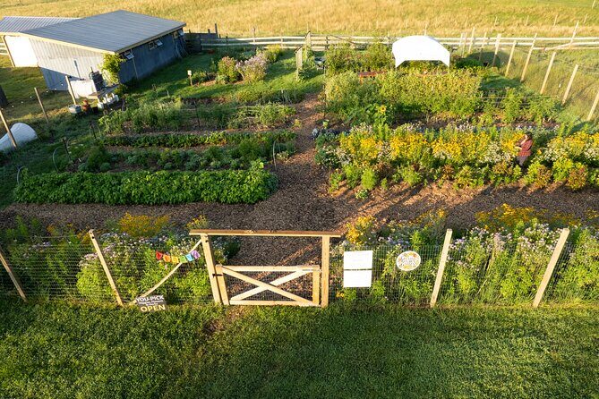 Pick Your Own Flowers on the Farm - Analyzing the Value for Money