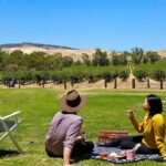Picnic and Wine Tasting Experience in the Barossa Valley - Practical Details & Tips