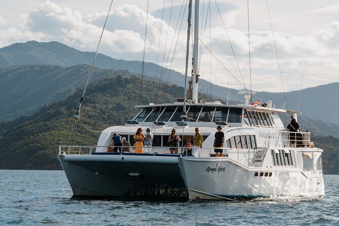 Picton Morning Guided Kayak with Afternoon Boat Cruise Tour - Why We Recommend It