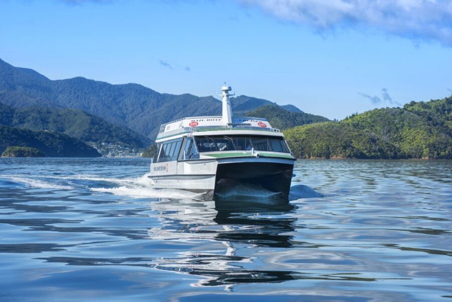 Picton Shore Excursion: Queen Charlotte Sounds Cruise - The Itinerary: What You Can Expect