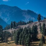 Picturesque Pahalgam: A Memorable Day Trip from Srinagar - Final Thoughts