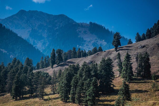Picturesque Pahalgam: A Memorable Day Trip from Srinagar - Final Thoughts