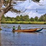 Pidurangala & Hiriwaduna Village Tour From Colombo - Authentic Village Life in Hiriwadunna