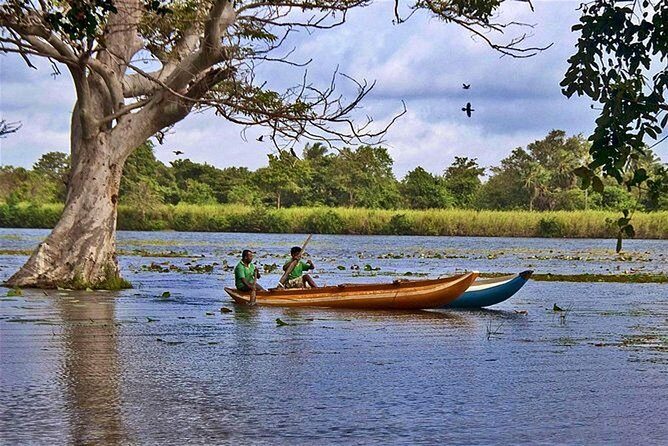 Pidurangala & Hiriwaduna Village Tour From Colombo - Authentic Village Life in Hiriwadunna