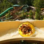 Pigeon Forge: Dollywood's Splash Country Entry Ticket - Navigating Your Day