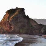 Piha Beach & Wilderness Nature : PRIVATE TOUR 8 hrs - Transportation and Comfort