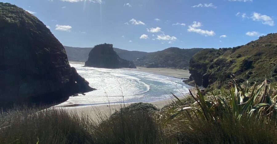 Piha & Karekare - Out of Auckland Private Tour - Final Thoughts: Is This Tour Right for You?