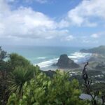 Piha Waitakere Rainforest Wine Tour from Auckland - Practical Details and Considerations