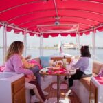 Pink Private Boat Cruise in San Diego! Bachelorette Birthday - Who Will Love This Experience?