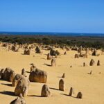 Pinnacle Day Adventure Tour - Practicalities and Tips