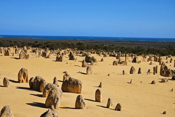 Pinnacle Day Adventure Tour - Practicalities and Tips