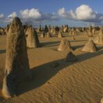 Pinnacles and Swan Valley Day Tour - Whats Included and Whats Not