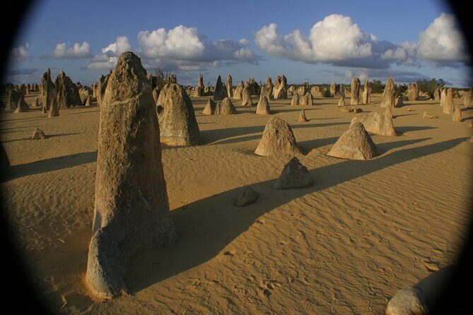 Pinnacles and Swan Valley Day Tour - Whats Included and Whats Not