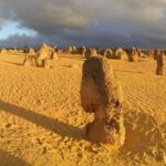Pinnacles Day Tour - What You’ll Love About This Tour