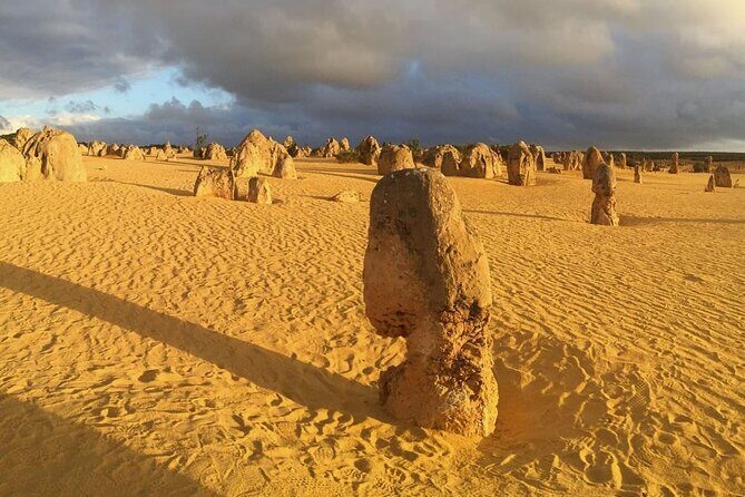 Pinnacles Day Tour - What You’ll Love About This Tour