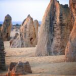 Pinnacles Desert, Yanchep and Swan Valley with Lunch - Why This Tour Works