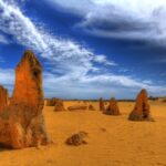 Pinnacles, Koalas & Sandboarding Tour Day Trip from Perth - Discovering the Itinerary in Detail