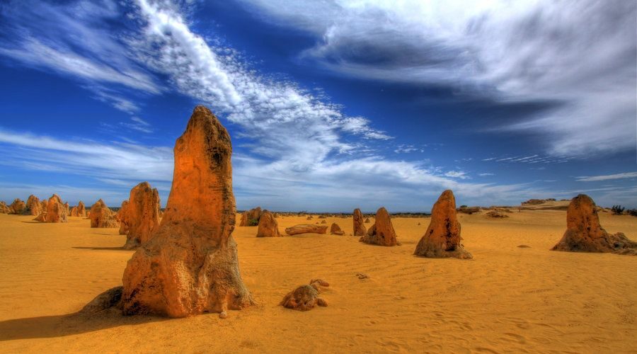 Pinnacles, Koalas & Sandboarding Tour Day Trip from Perth - Discovering the Itinerary in Detail