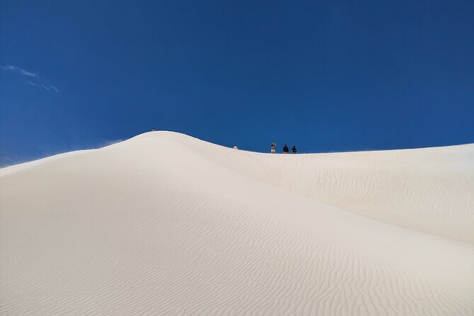 Pinnacles+Lancelin Sand Dune Impression Day Tour from Perth - Transportation and Group Dynamics