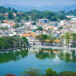 Pinnawala & Kandy Day Tour from Negombo - Pinnawala Elephant Orphanage Stop