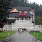Pinnawala,Kandy Day Tour from Colombo/Negombo - Authenticity and Caveats