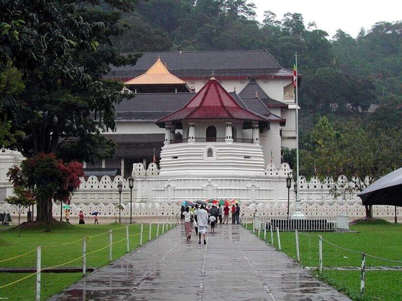 Pinnawala,Kandy Day Tour from Colombo/Negombo - Authenticity and Caveats