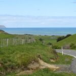 "Pinot to Palliser tour" - Guided tour to Cape Palliser vith lunch + winetasting - Authentic Experiences Drawn from Reviews