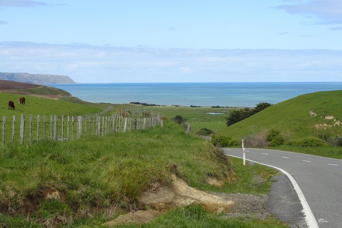 "Pinot to Palliser tour" - Guided tour to Cape Palliser vith lunch + winetasting - Authentic Experiences Drawn from Reviews