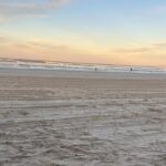 Pipi Catching and Cooking Experience in Goolwa - Pipi Harvesting — A Guided Adventure