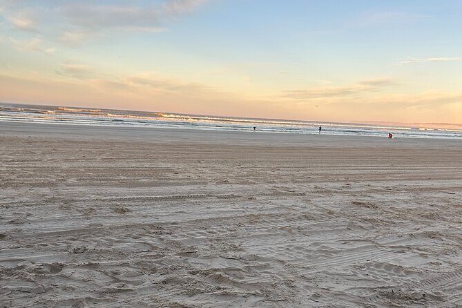 Pipi Catching and Cooking Experience in Goolwa - Pipi Harvesting — A Guided Adventure