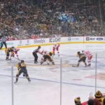 Pittsburgh: Pittsburgh Penguins Ice Hockey Game Ticket - The Ticket and Seating Details: What to Expect